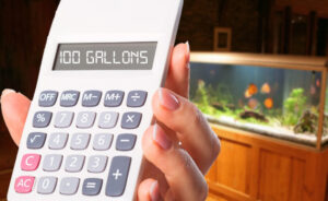 Aquarium Volume Calculator: How Many Gallons Can Tank Hold?