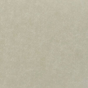 Mechanical Filtration: Most Common Type of Aquarium Filter