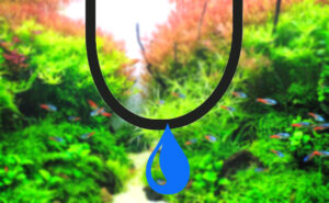 What the heck is a Drip Loop? And, Why You Need One