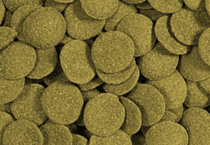 What Do Fish Eat? Beginner’s Guide To Different Types Of Fish Food ...