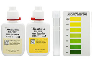 Ammonia Levels- The Invisible Killer in Your Aquarium - FishLab