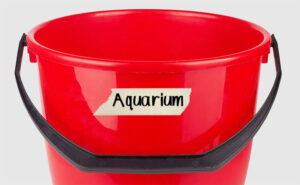 Trust Me, You Need A Bucket For Your Aquarium. Here's Why! | FishLab