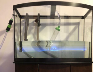 Hands-on with the Python Water Changer (Why it's great!) | FishLab