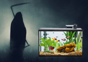 Aquarium Battery Backup - How to save your tank in a power outage - FishLab