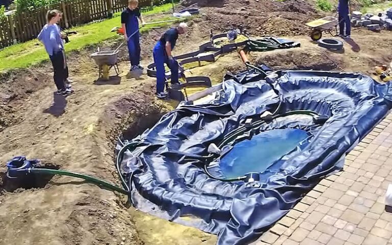 DIY Koi Fish Pond: What Do I Need To Build a Backyard Pond? | FishLab