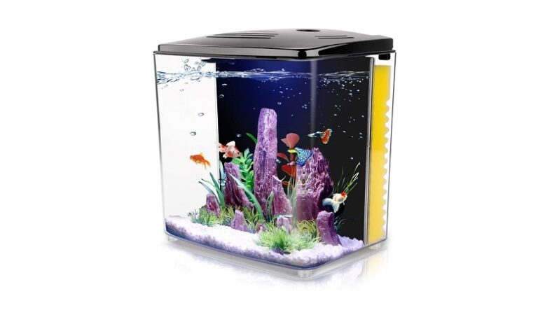 Best Starter Fish Tanks 2022 : Best Aquarium For Beginners