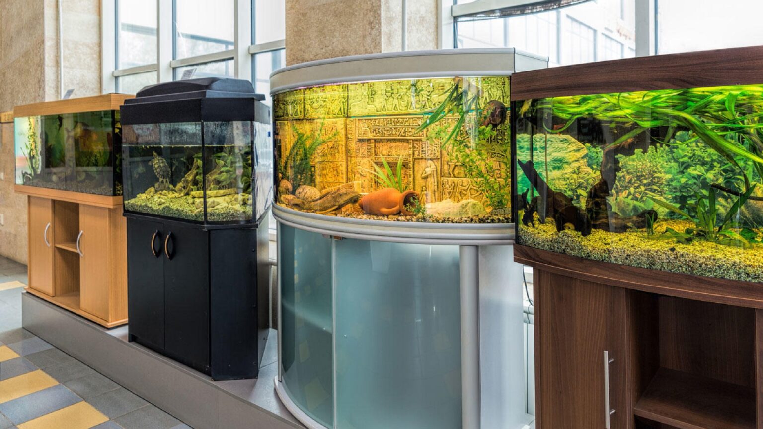 7 Of The Best Fish Tank Stands - FishLab.com