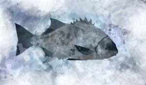 75+ Popular Fish That Start with G | FishLab