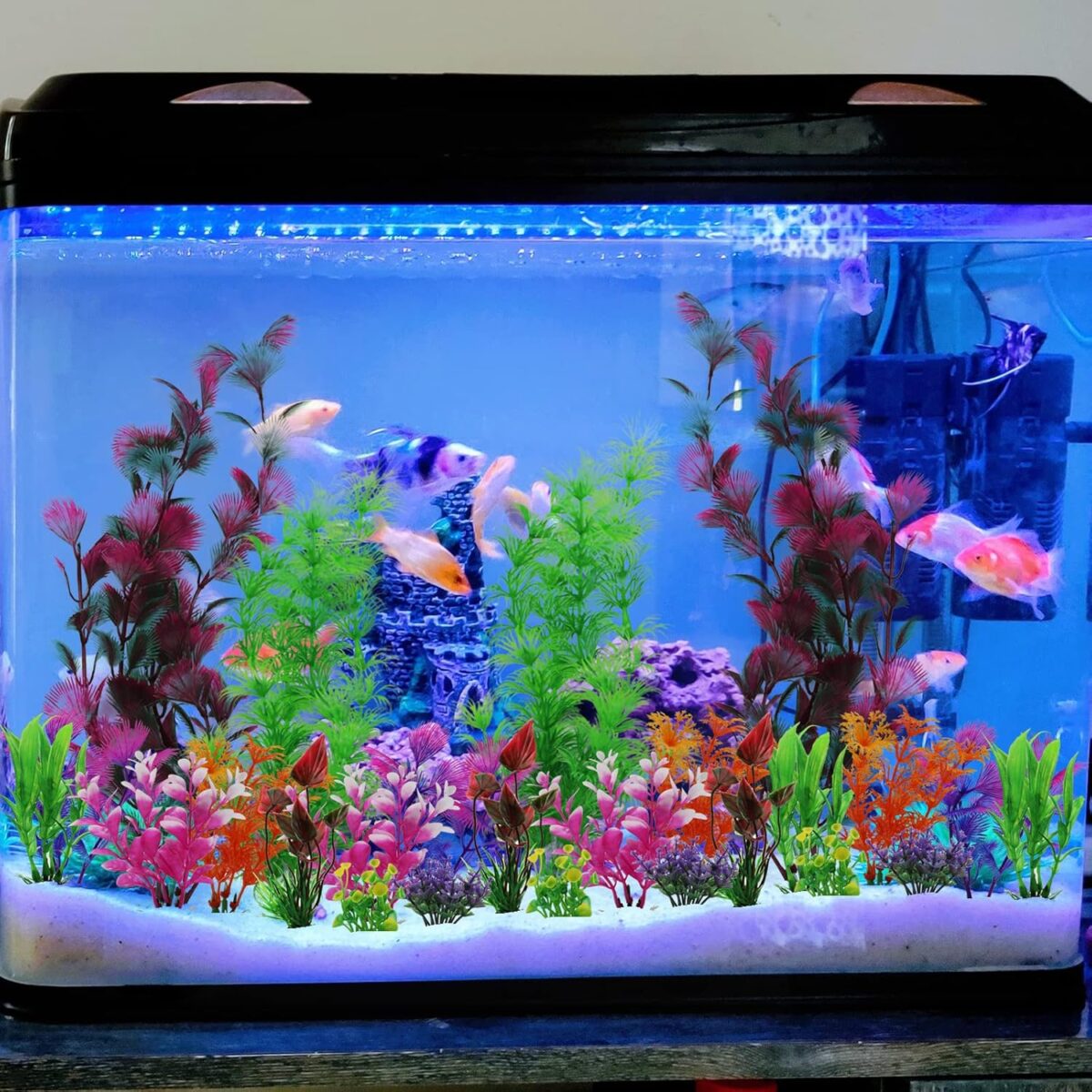 13 Best Guppy Tank Mates (Safe, Peaceful & Beginner-Approved) | FishLab