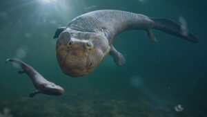 8 Popular Fish With Four Legs | FishLab