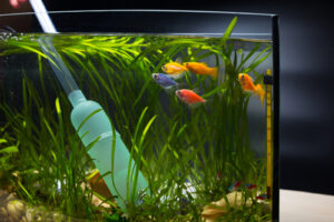 How to Clean and Maintain a Fish Tank - Best Hacks From an Expert | FishLab