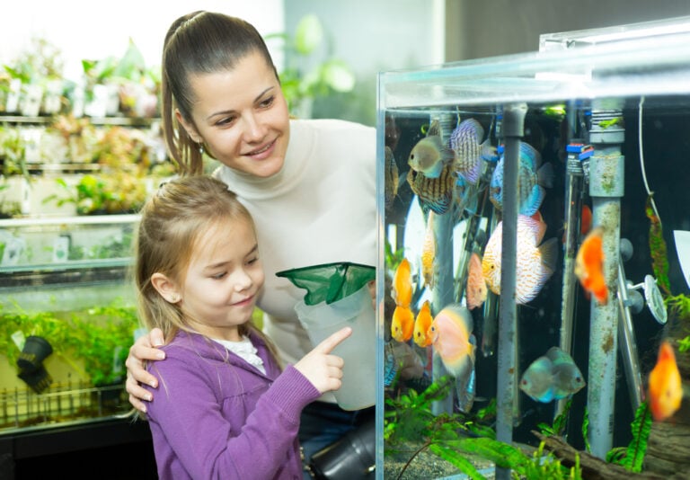 The Perfect Location to Put Your Aquarium in Your Home! | FishLab