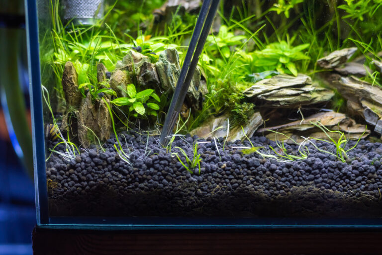 Aquarium Substrate Calculator: Determine Your Tank's Needs Easily - FishLab