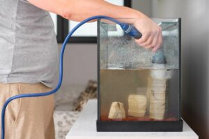 Setting Up a Low-Maintenance Aquarium: 10 Essential Tips for Busy Fish ...