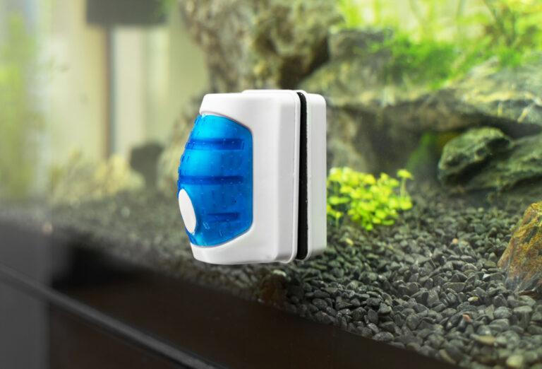 The Ultimate Guide to Algae Control – 5 Effective Strategies for a ...