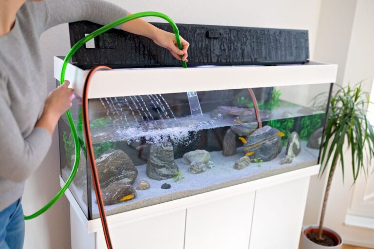 What The Heck Is A Drip Loop? And Do You Need One? | FishLab